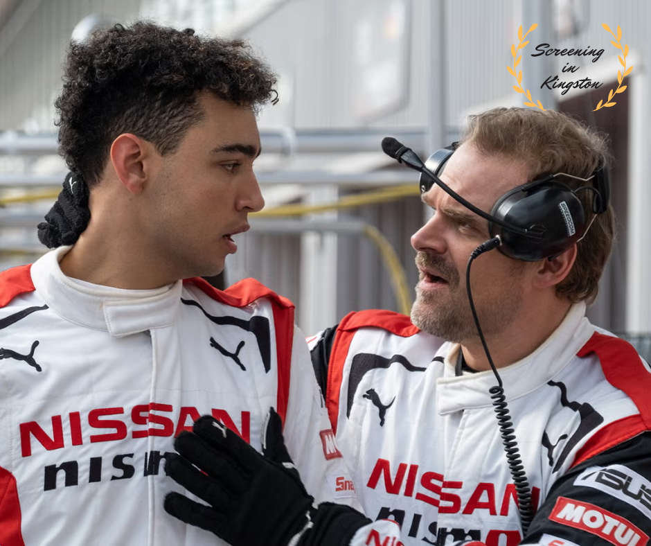 Fun Fall Fan Questions!